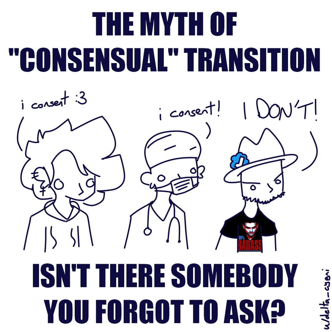 the transgender experience (art by me) | Scrolller