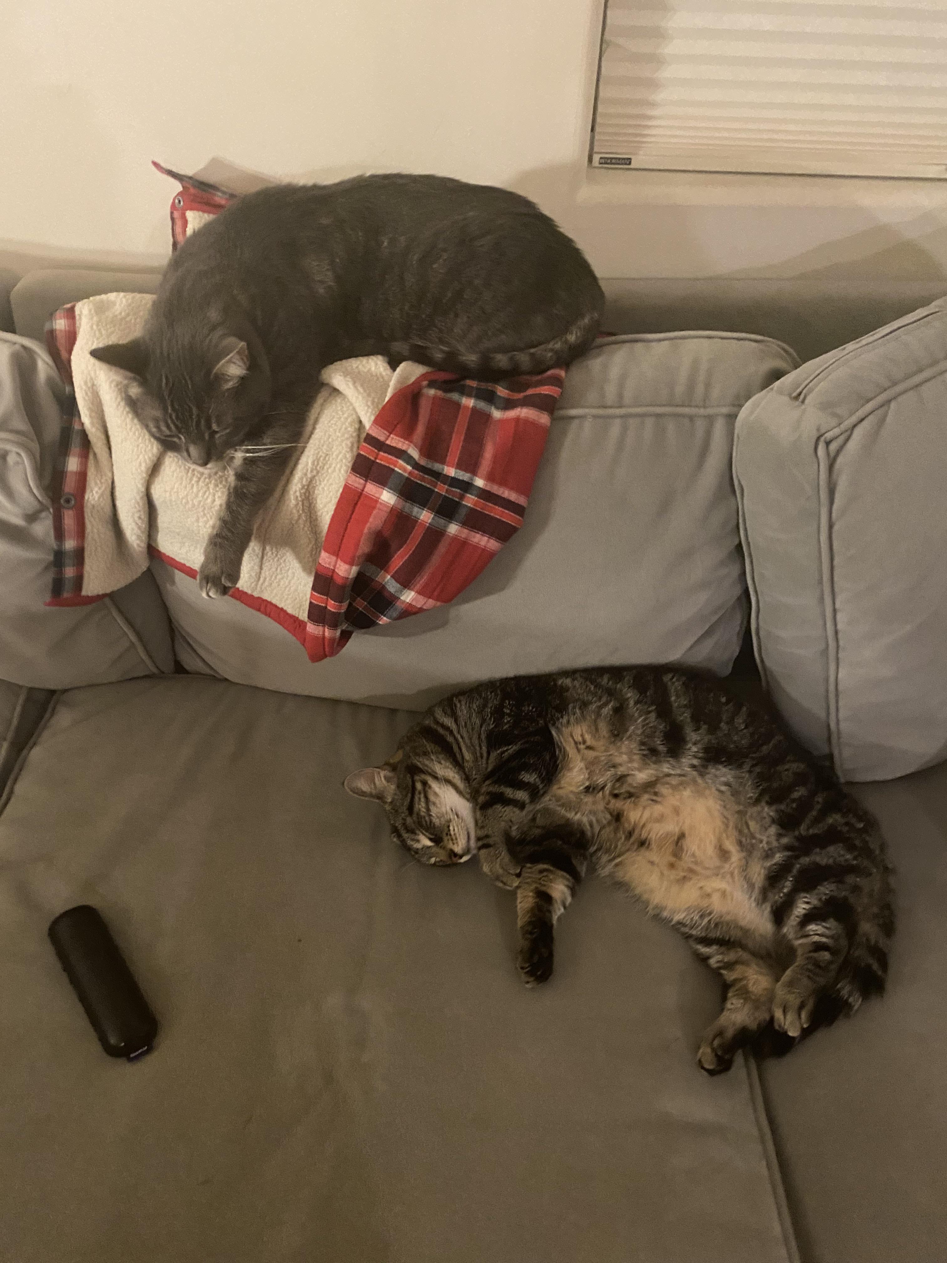 its a double event | Scrolller