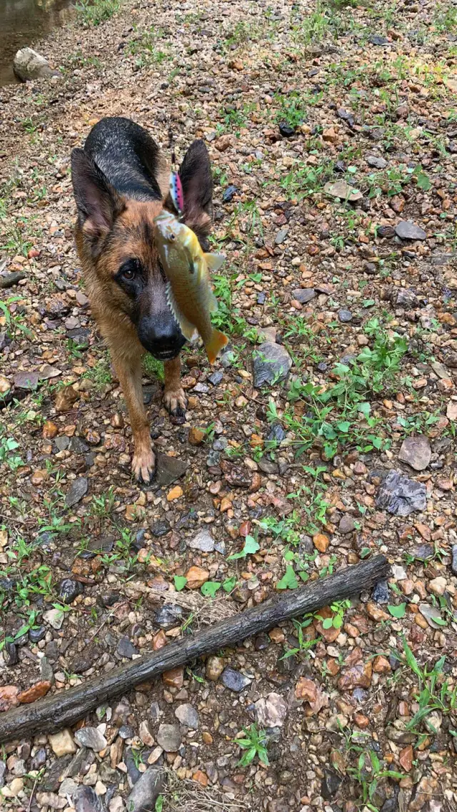 Help me find my spoon | Scrolller