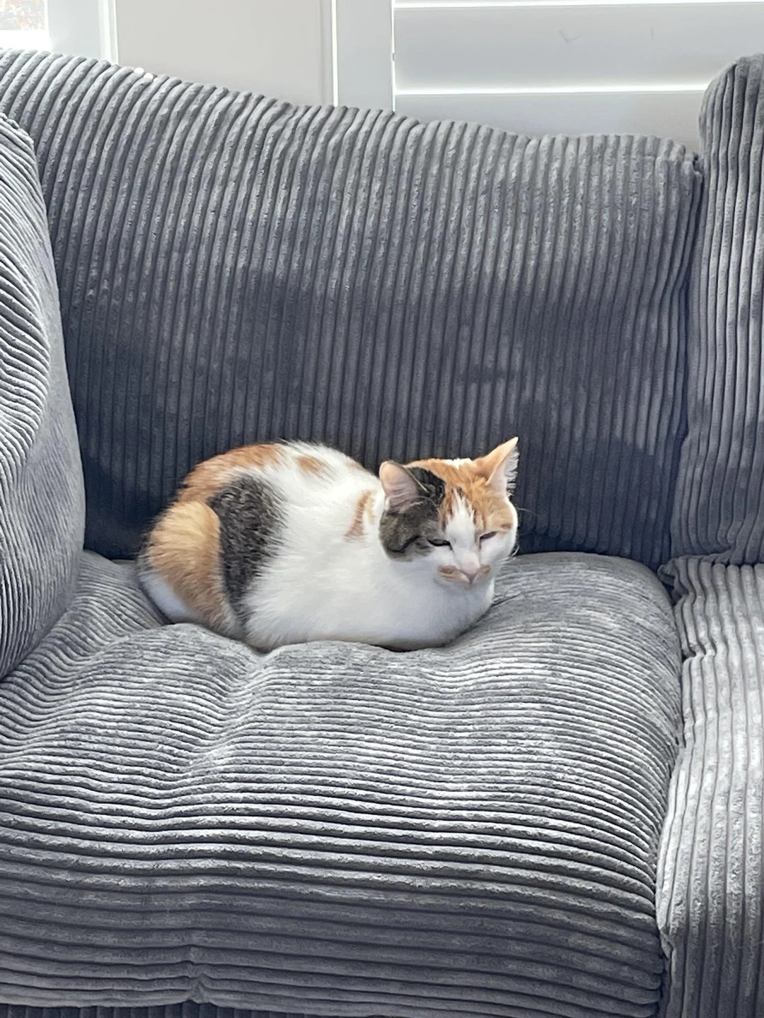 Multigrain loaf | Scrolller