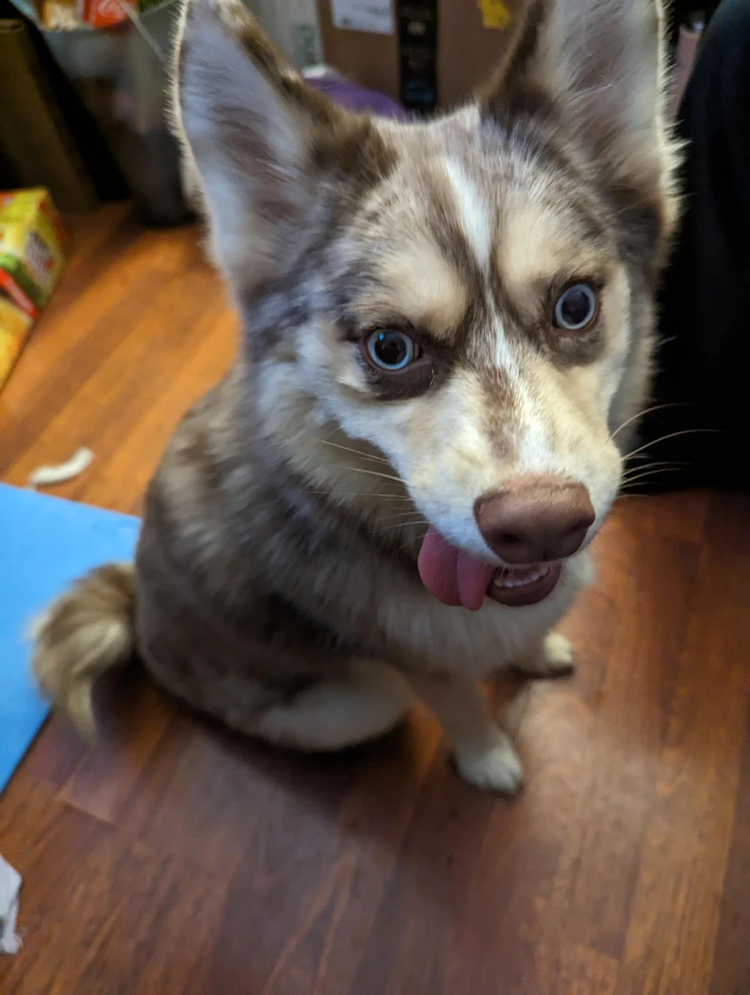 Head Empty. No thoughts. | Scrolller