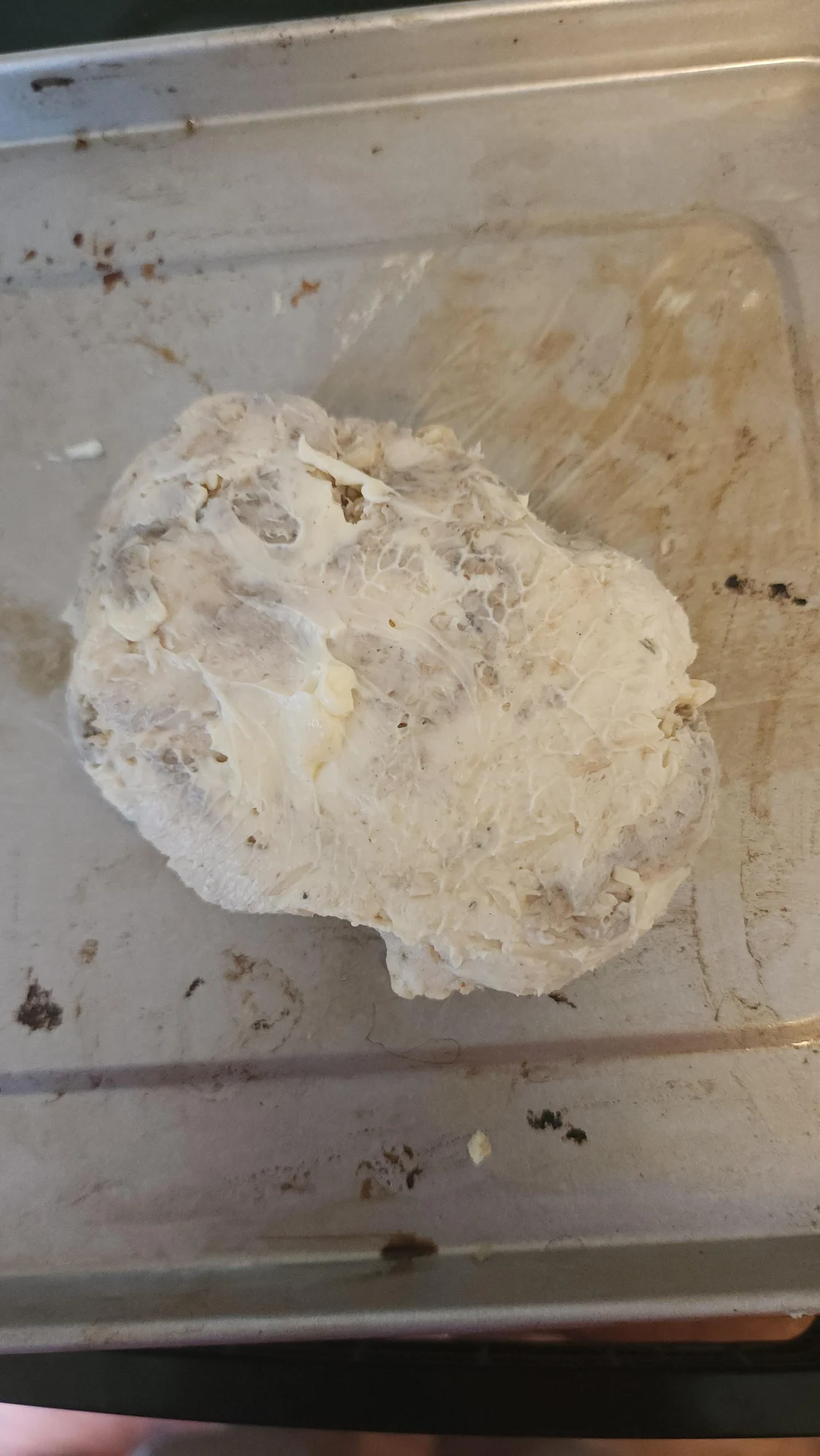 Is this mold or oxidation of dough | Scrolller