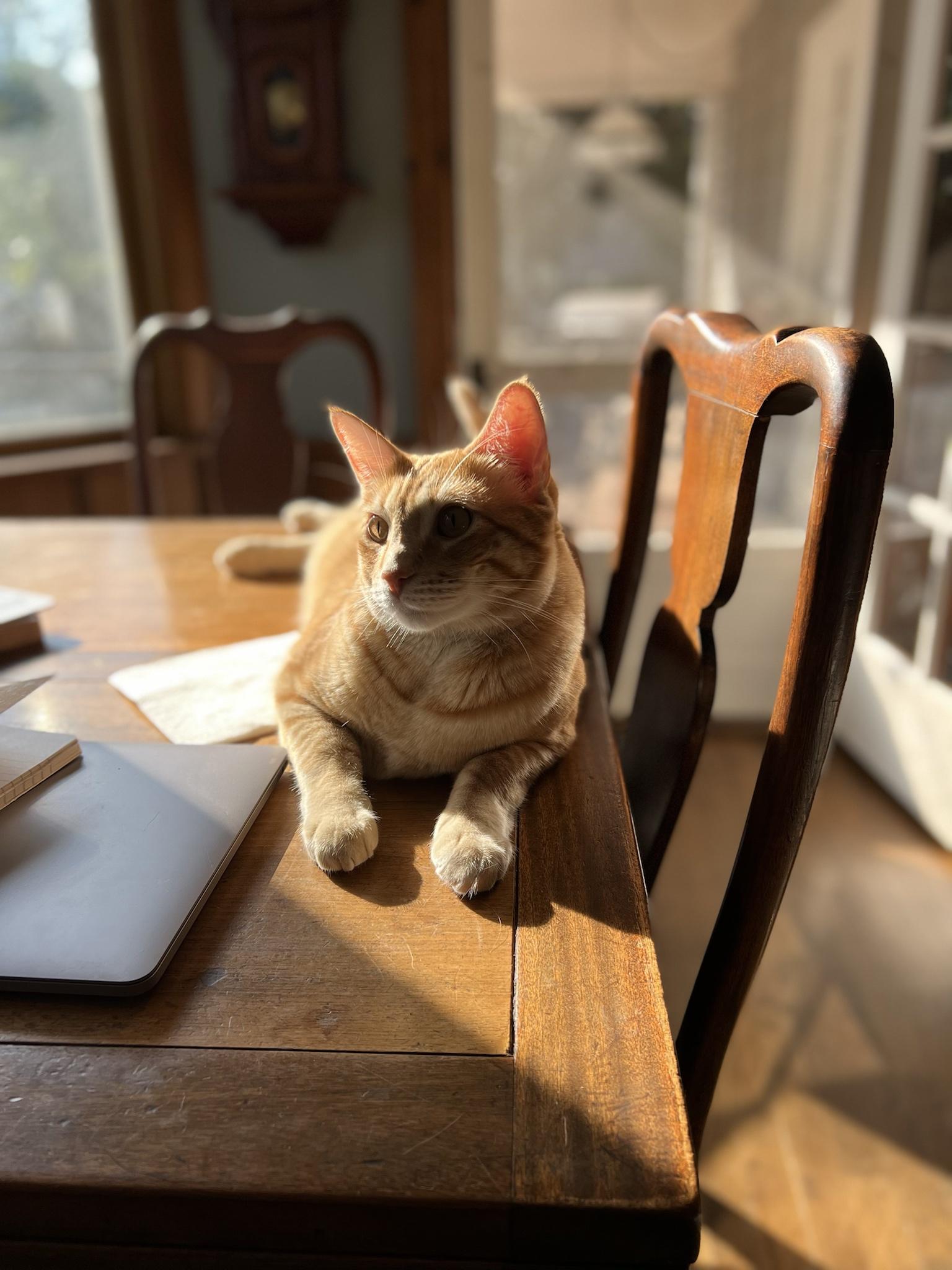 For Your Consideration: Theodore | Scrolller