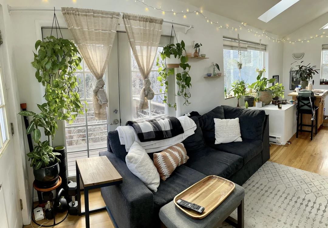 my plant heaven 😍🪴 | Scrolller