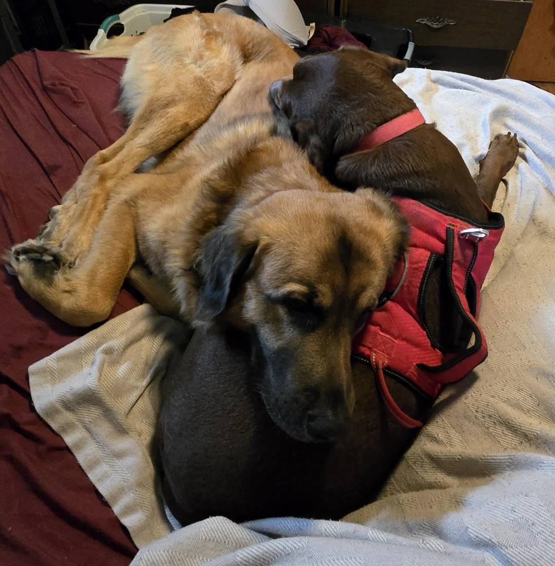 Morning cuddles | Scrolller