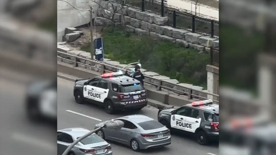 Man on Gardner Expressway Arrested | Scrolller