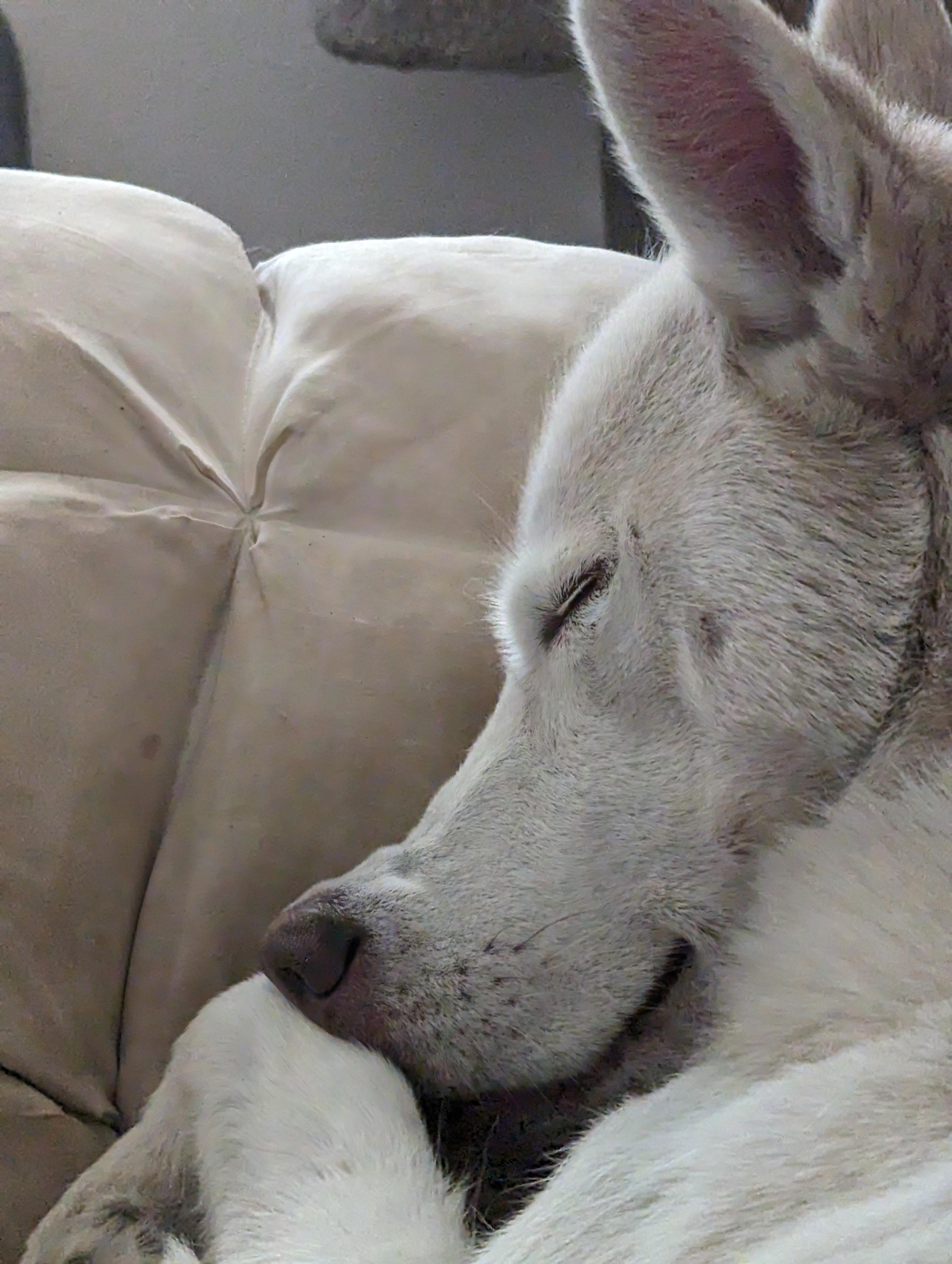 Weirdo... the best weirdo | Scrolller