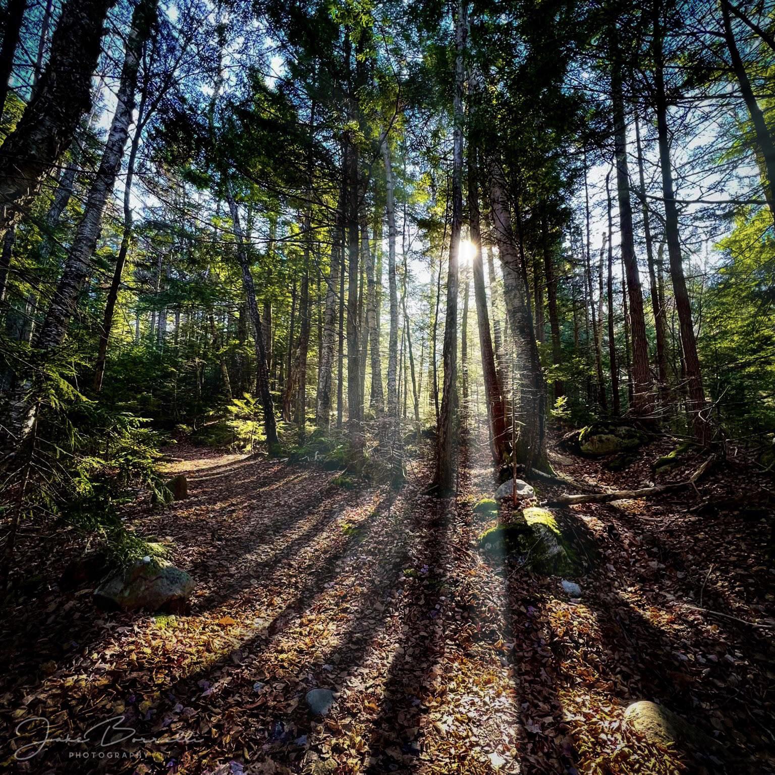 Light and shadow - The White Mountains, NH | Scrolller