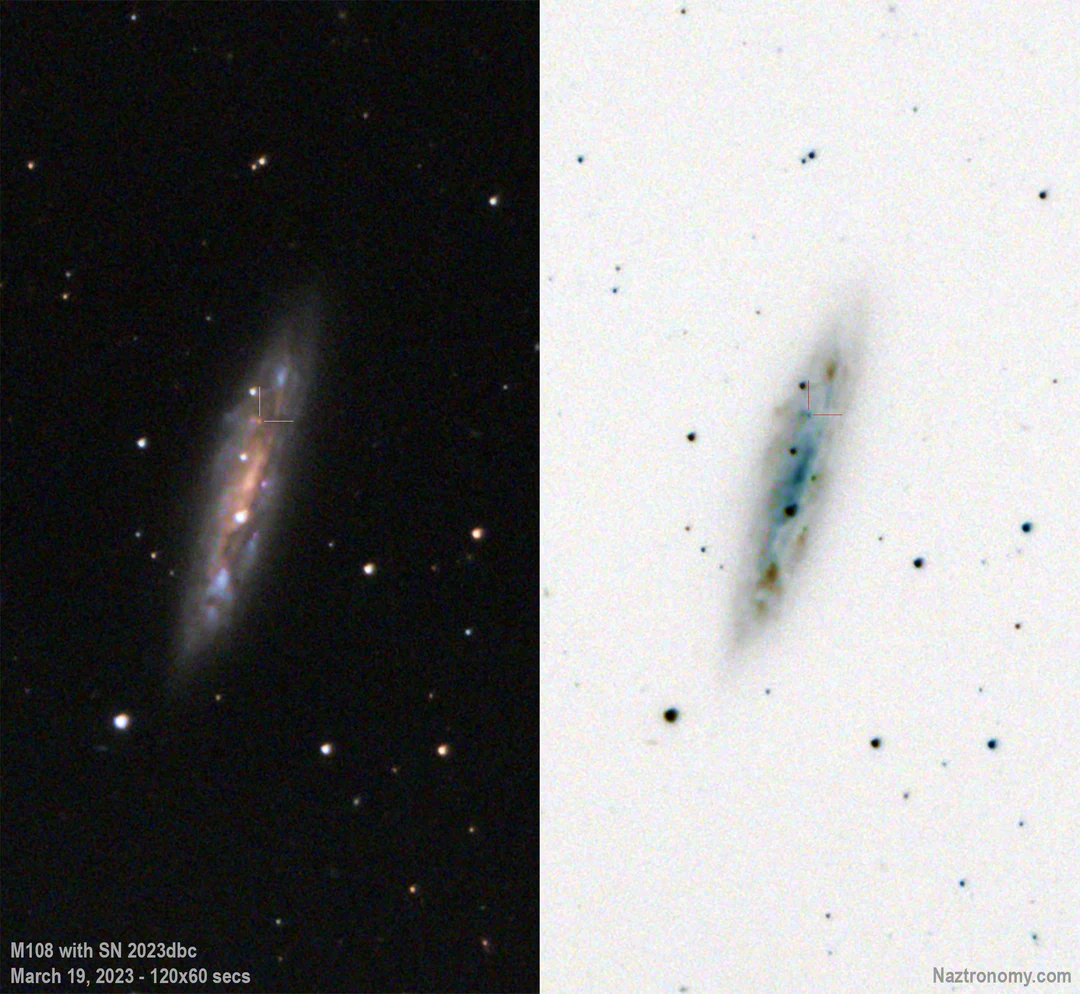 Supernova detected in the Surfboard Galaxy (M108) - SN 2023dbc | Scrolller