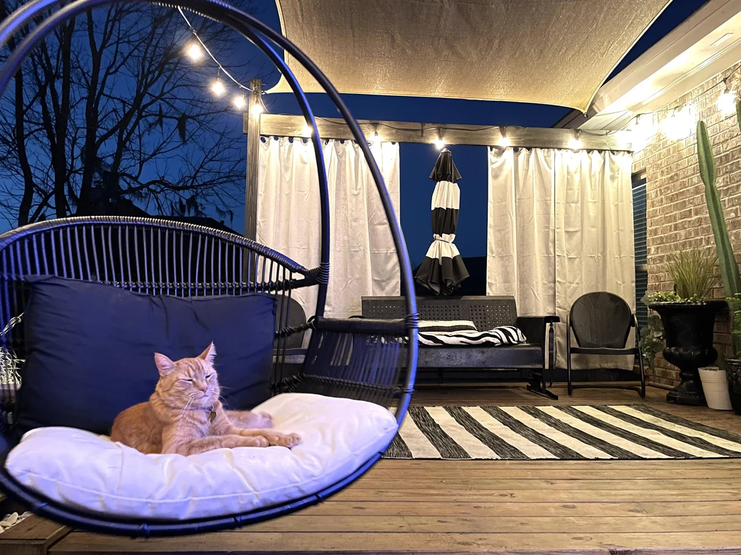 I’ve always wanted one of these hanging Egg Chairs | Scrolller