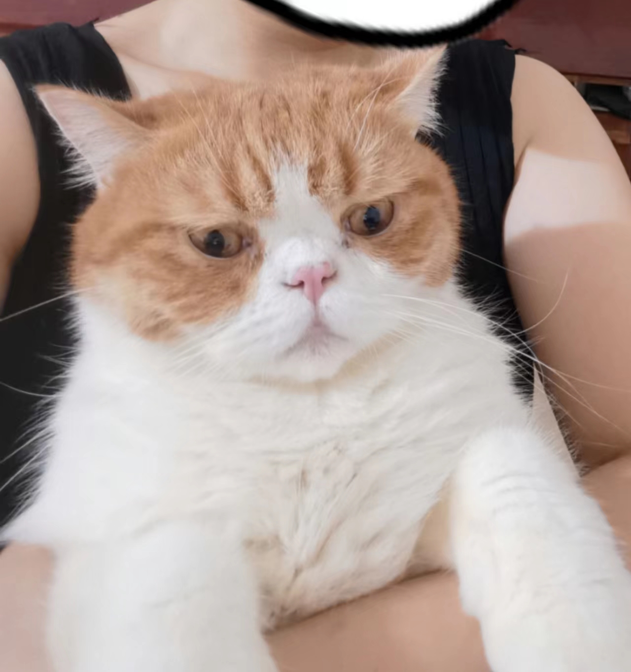 He looks unhappy | Scrolller