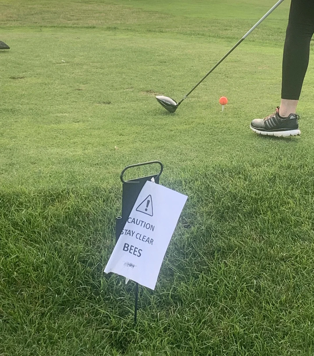 Just out hitting stingers | Scrolller