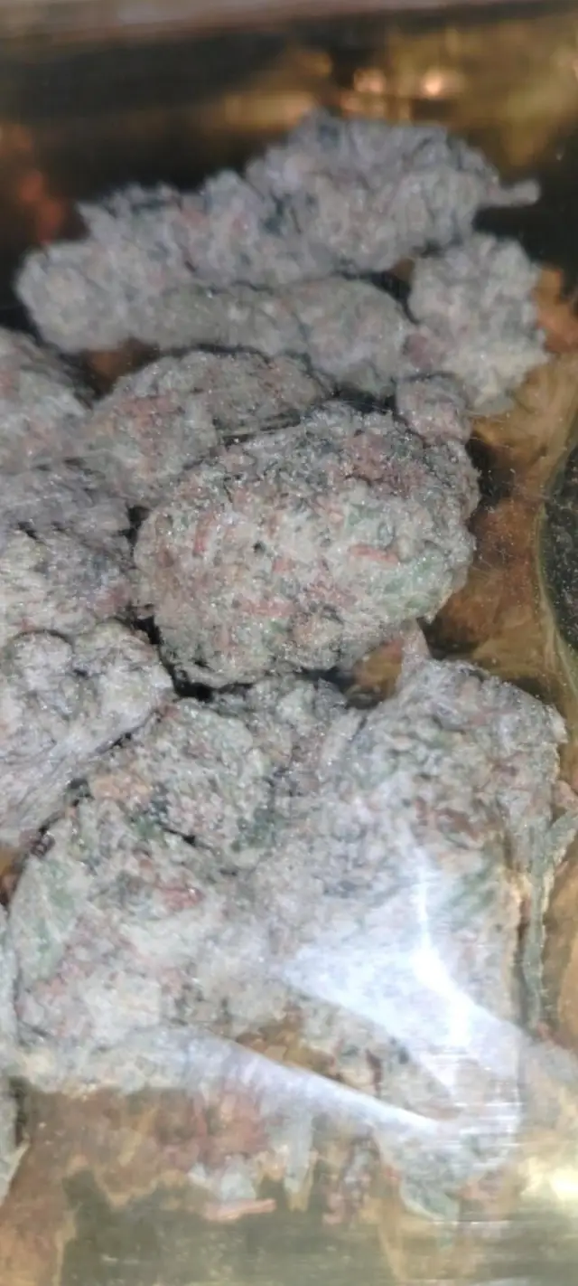 Greek weed | Scrolller