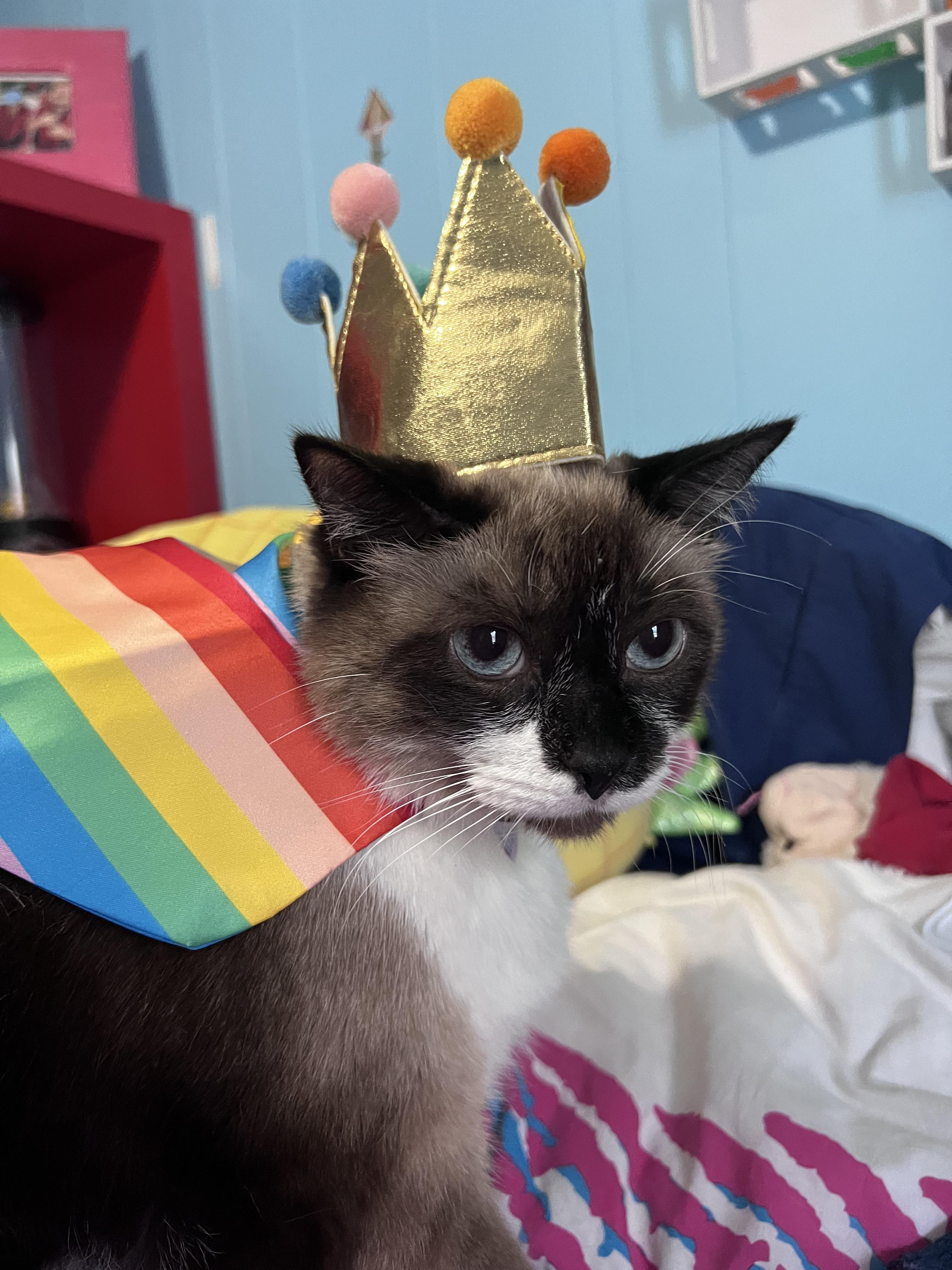 Mooooommmmmm stop | Scrolller