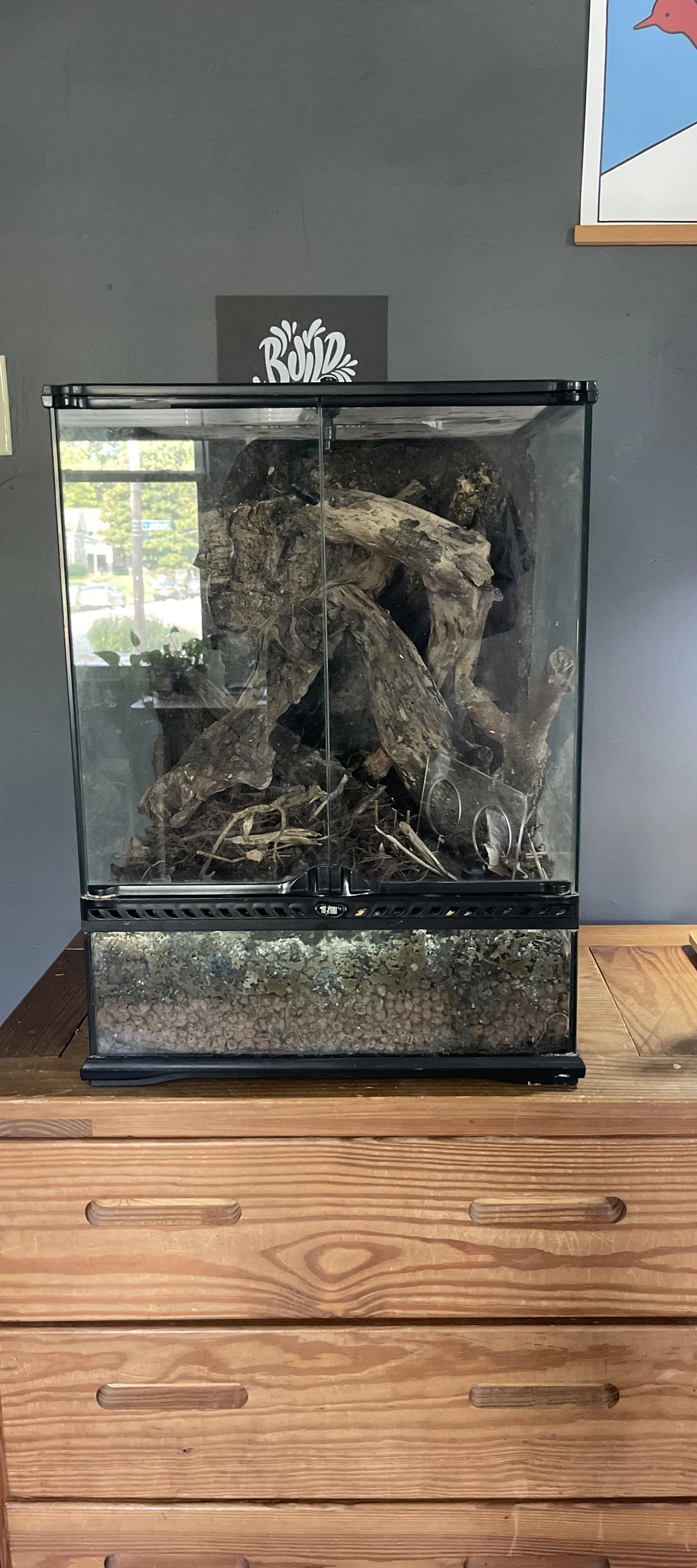 Old enclosure, need tips | Scrolller