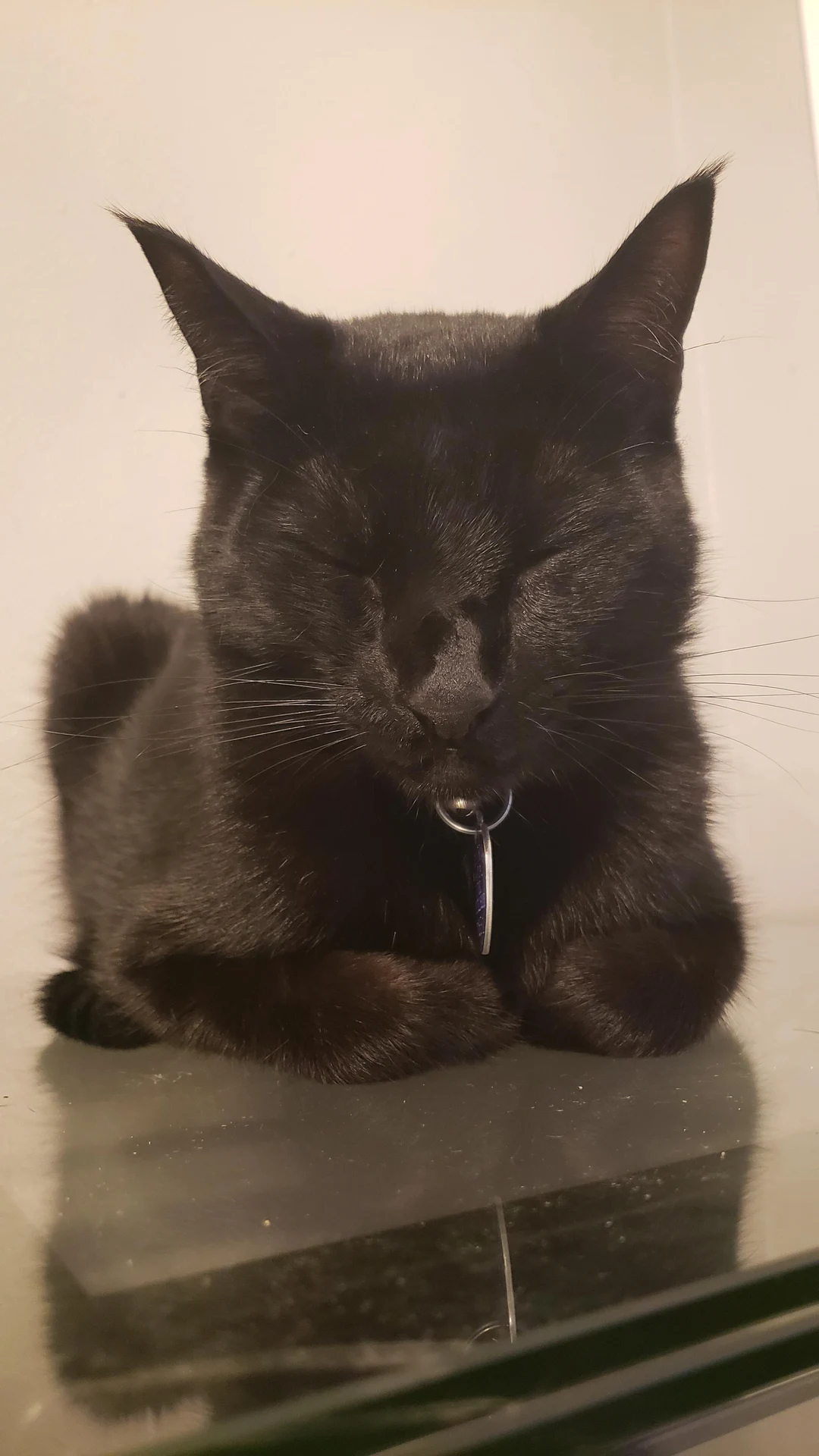 Jack the void loaf | Scrolller