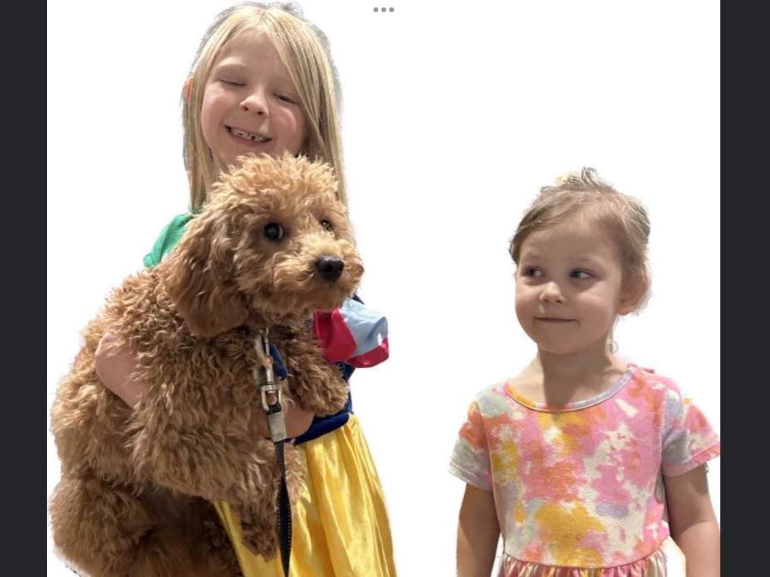 Cinnamon | Scrolller