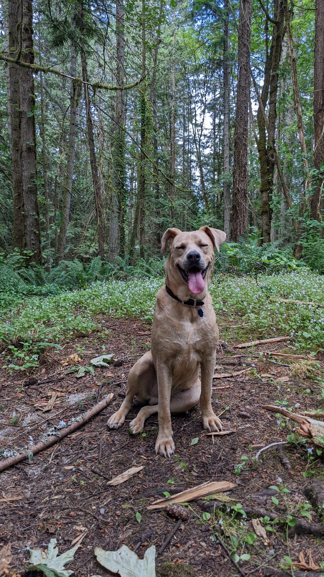 Daily photo of Cosmo | Scrolller