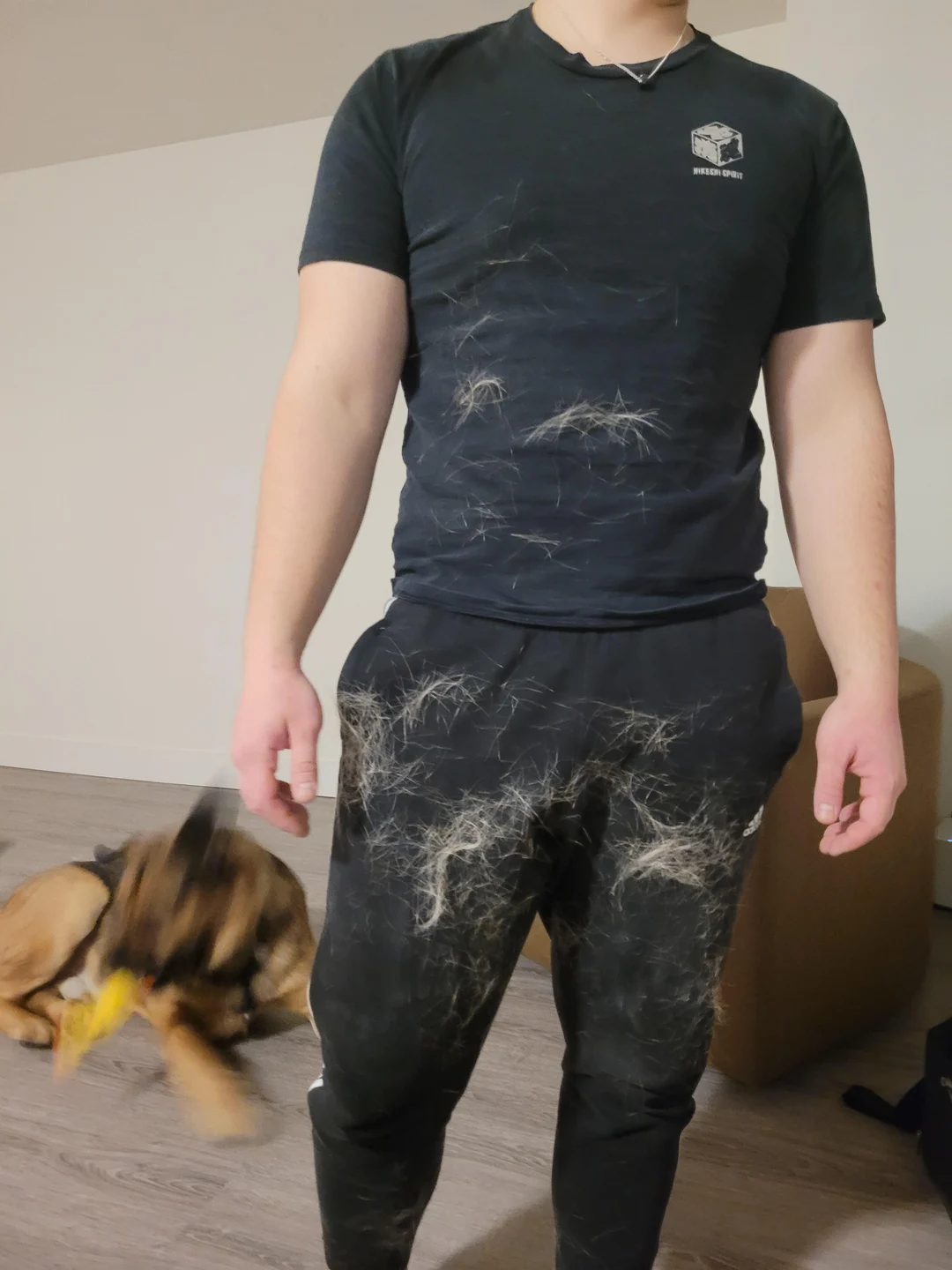 Fur gremlin | Scrolller