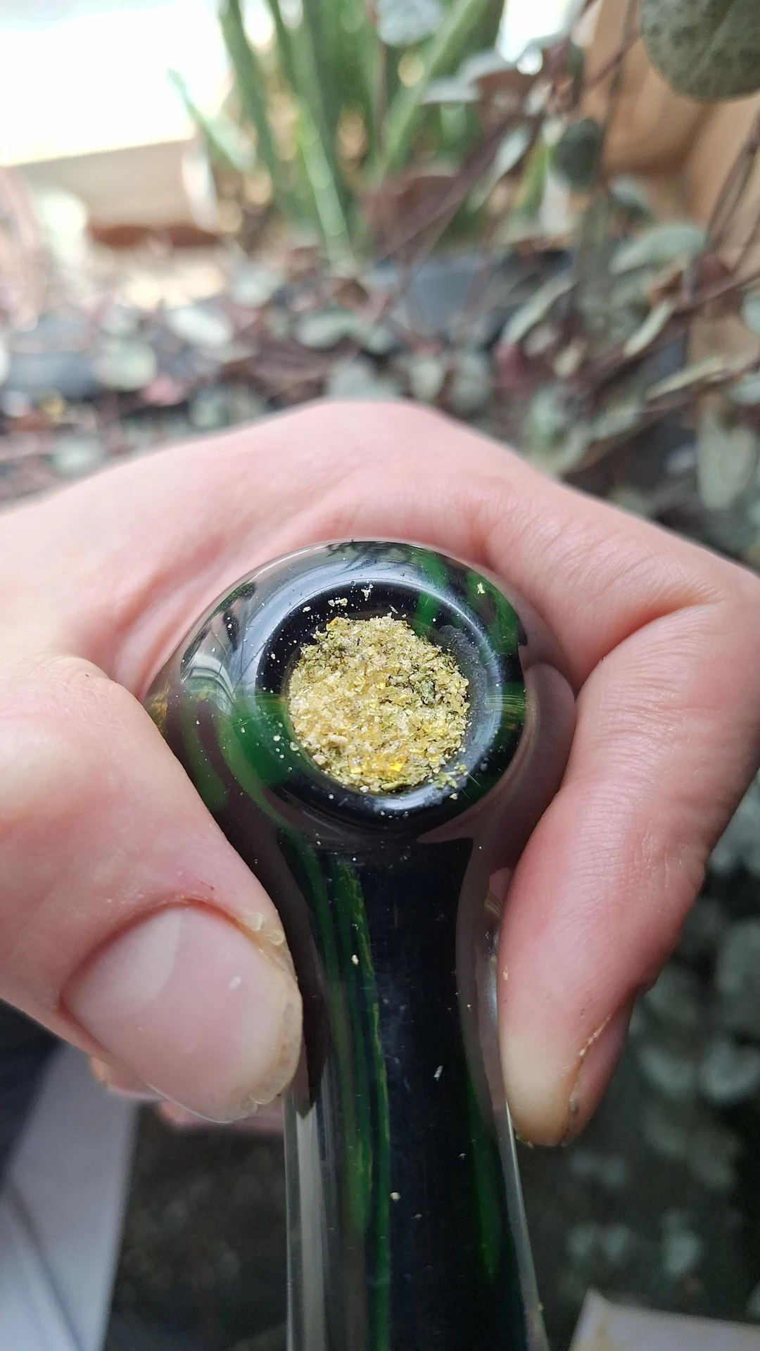 Tropicanna Cookies topped with OG Bubba Kush Shatter | Scrolller