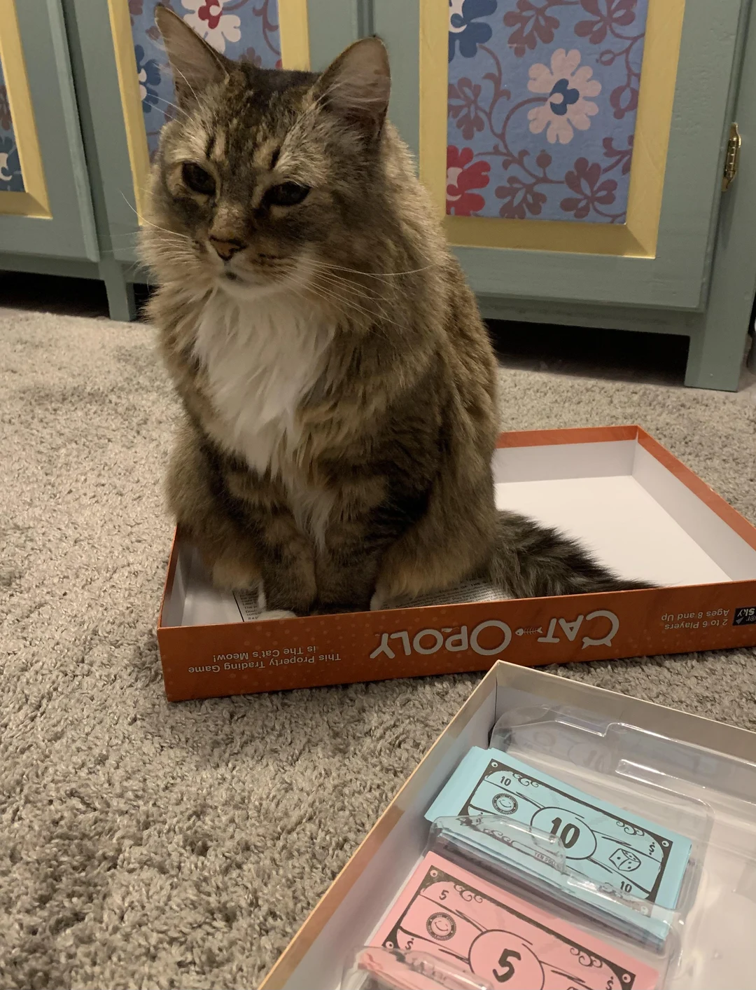 Perfectly fitting | Scrolller