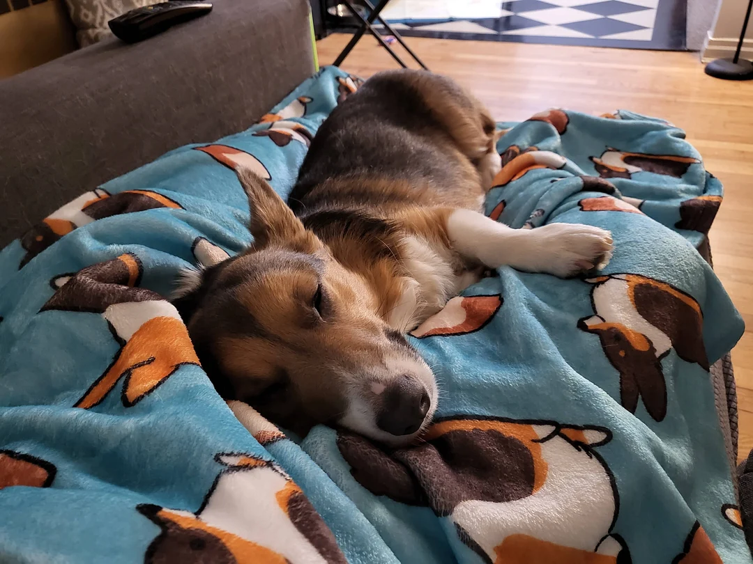 My snuggly | Scrolller