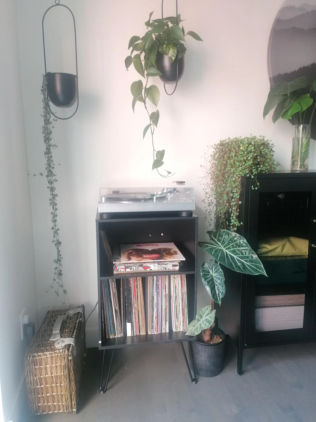 COZY CORNER IN MY DINING ROOM! | Scrolller