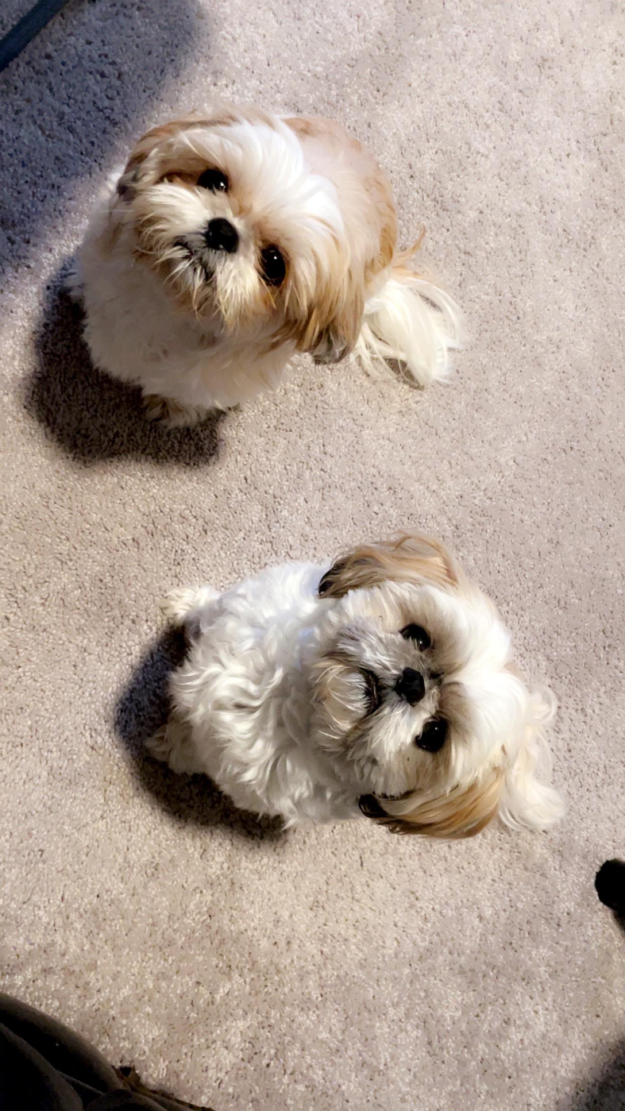 You know these faces | Scrolller