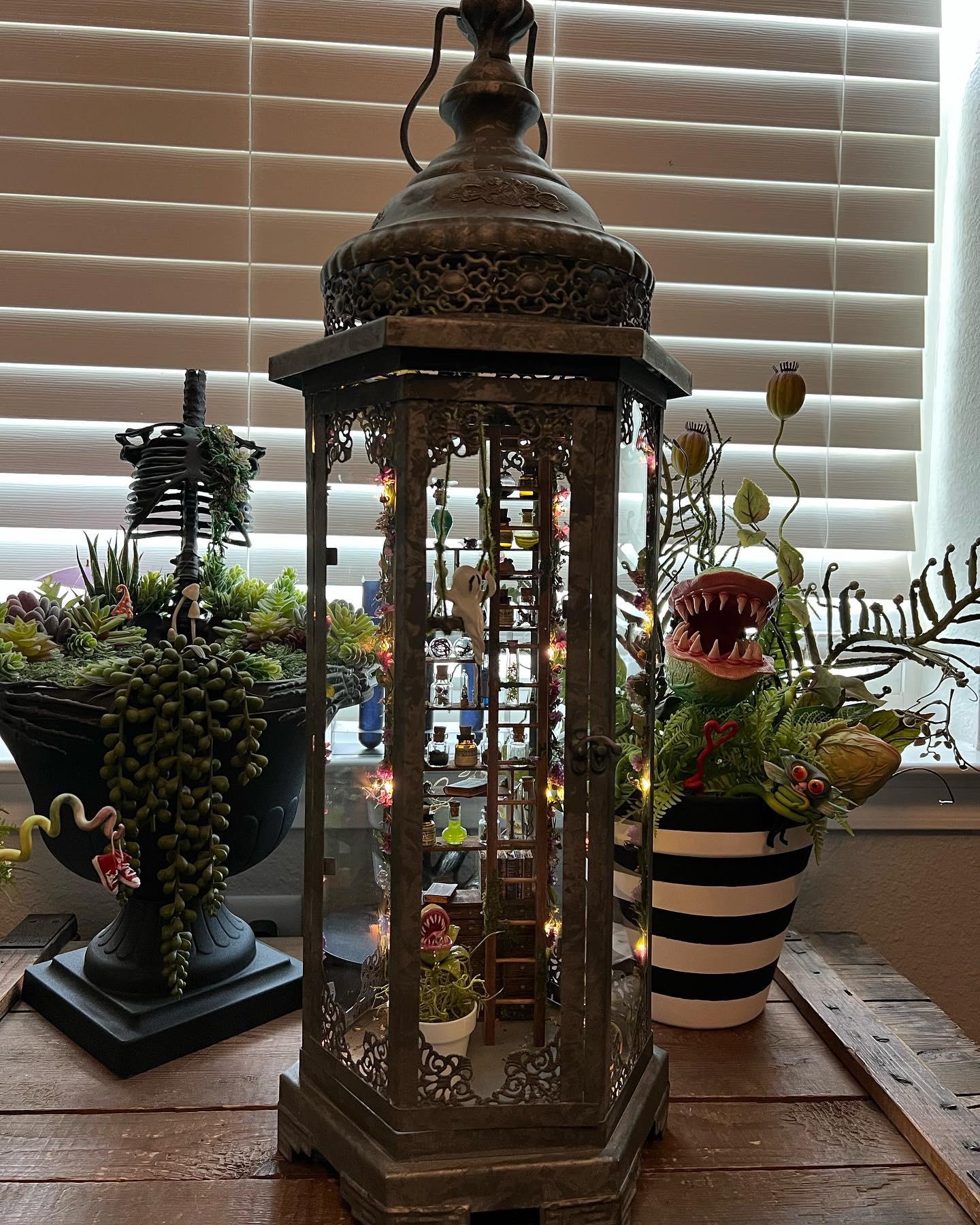 Miniature apothecary | Scrolller