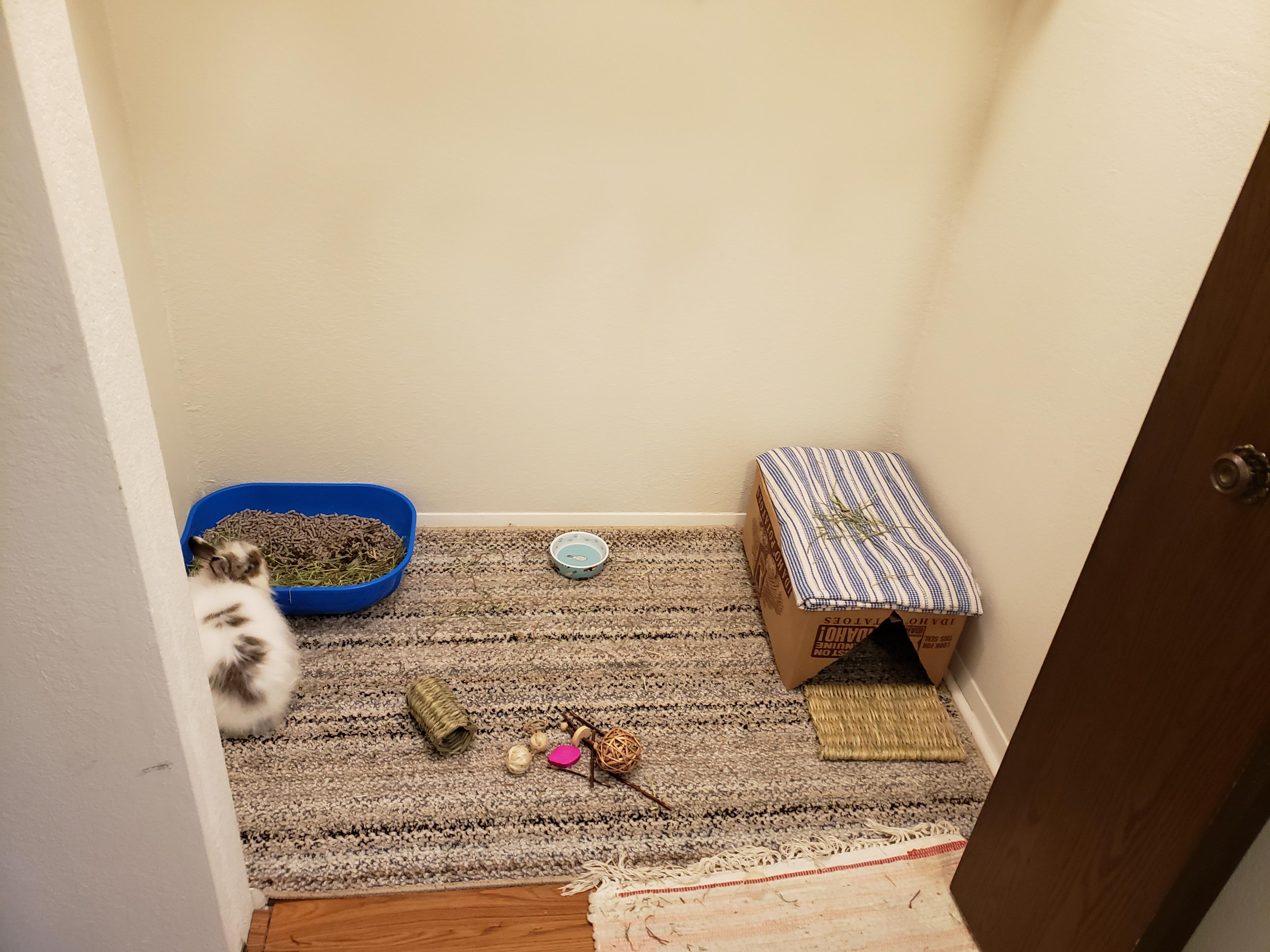 Maverick's new "enclosure" | Scrolller