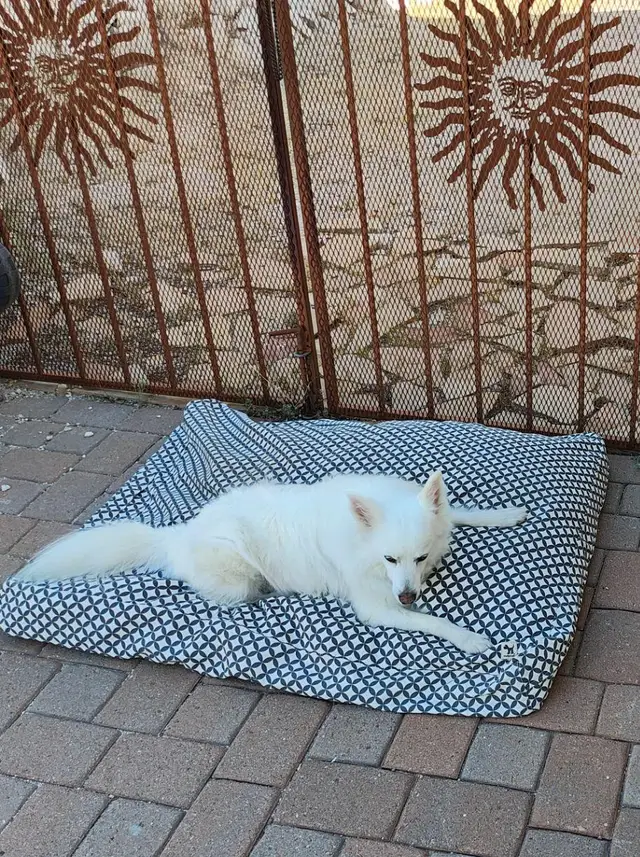 The Gatekeeper | Scrolller