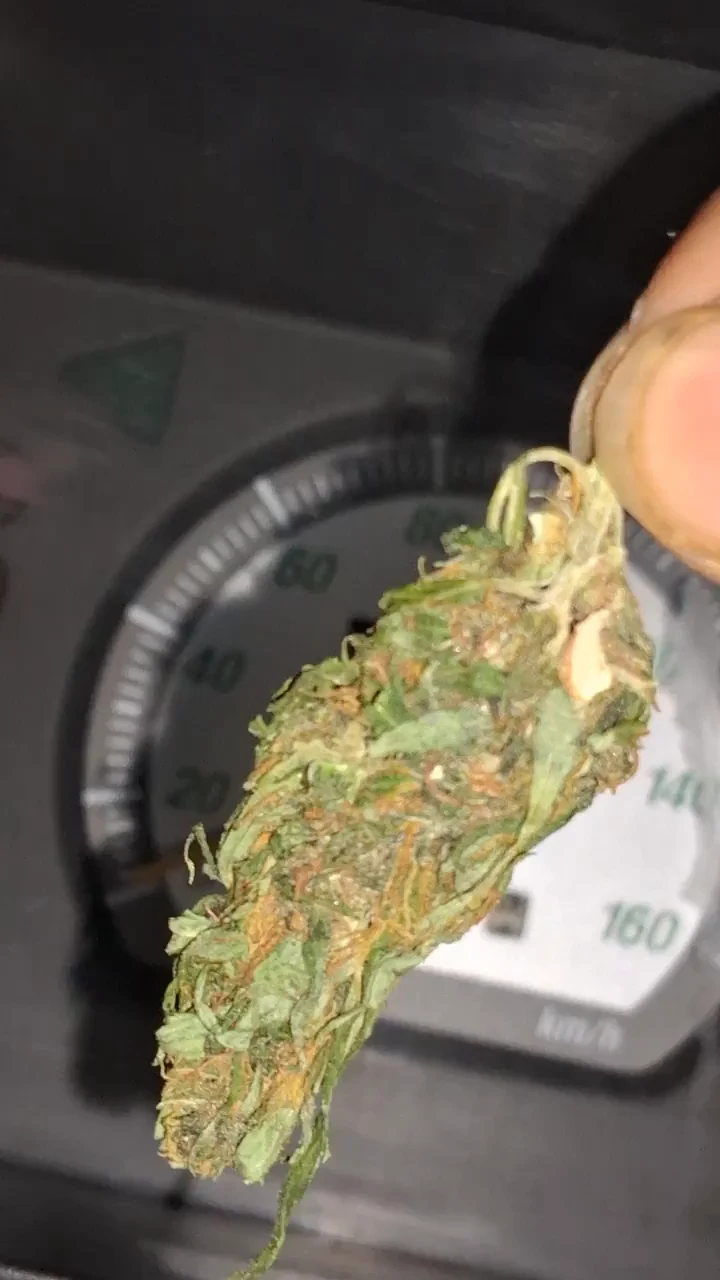 Discover more like Weed: How is this and Related Content | Scrolller