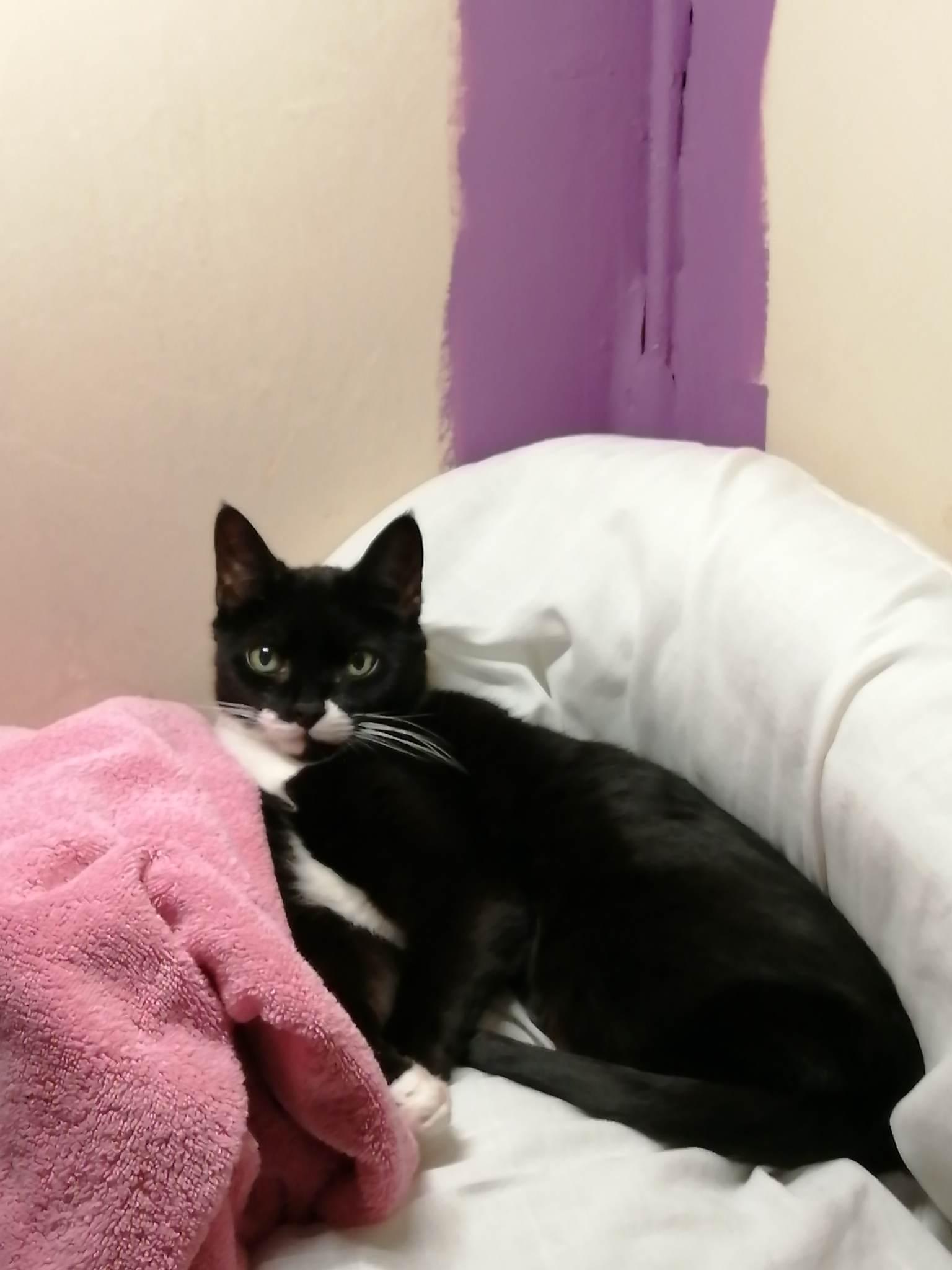 Ninja 14 | Scrolller