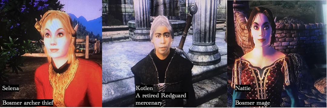 Decided to revisit Oblivion with three playable characters. | Scrolller