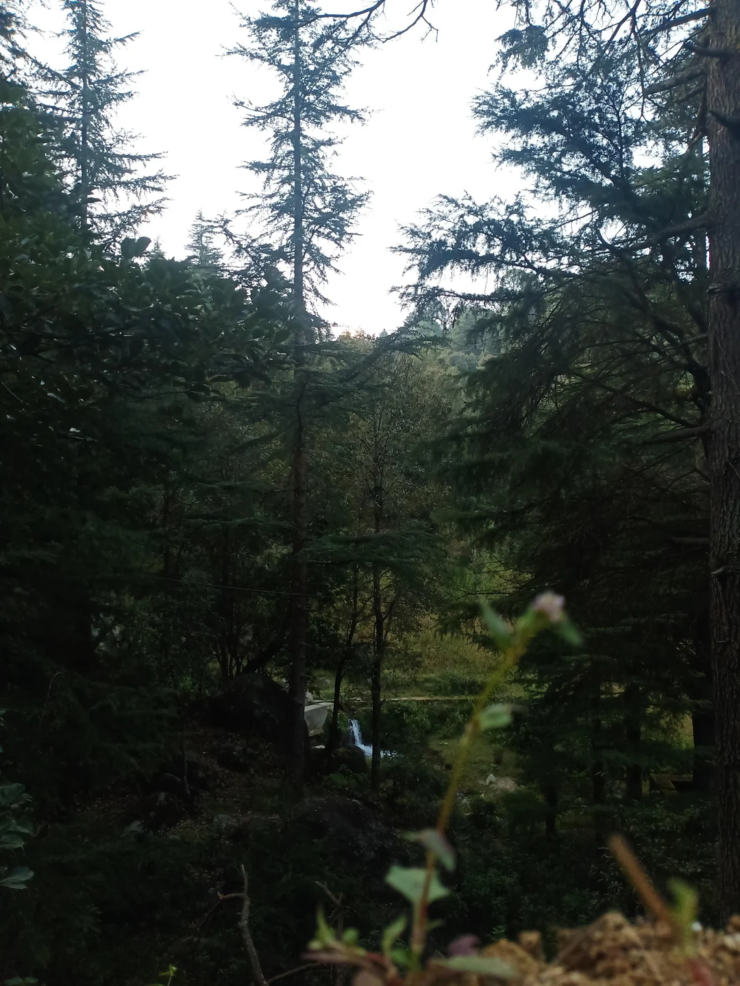 A hidden treasure | Scrolller