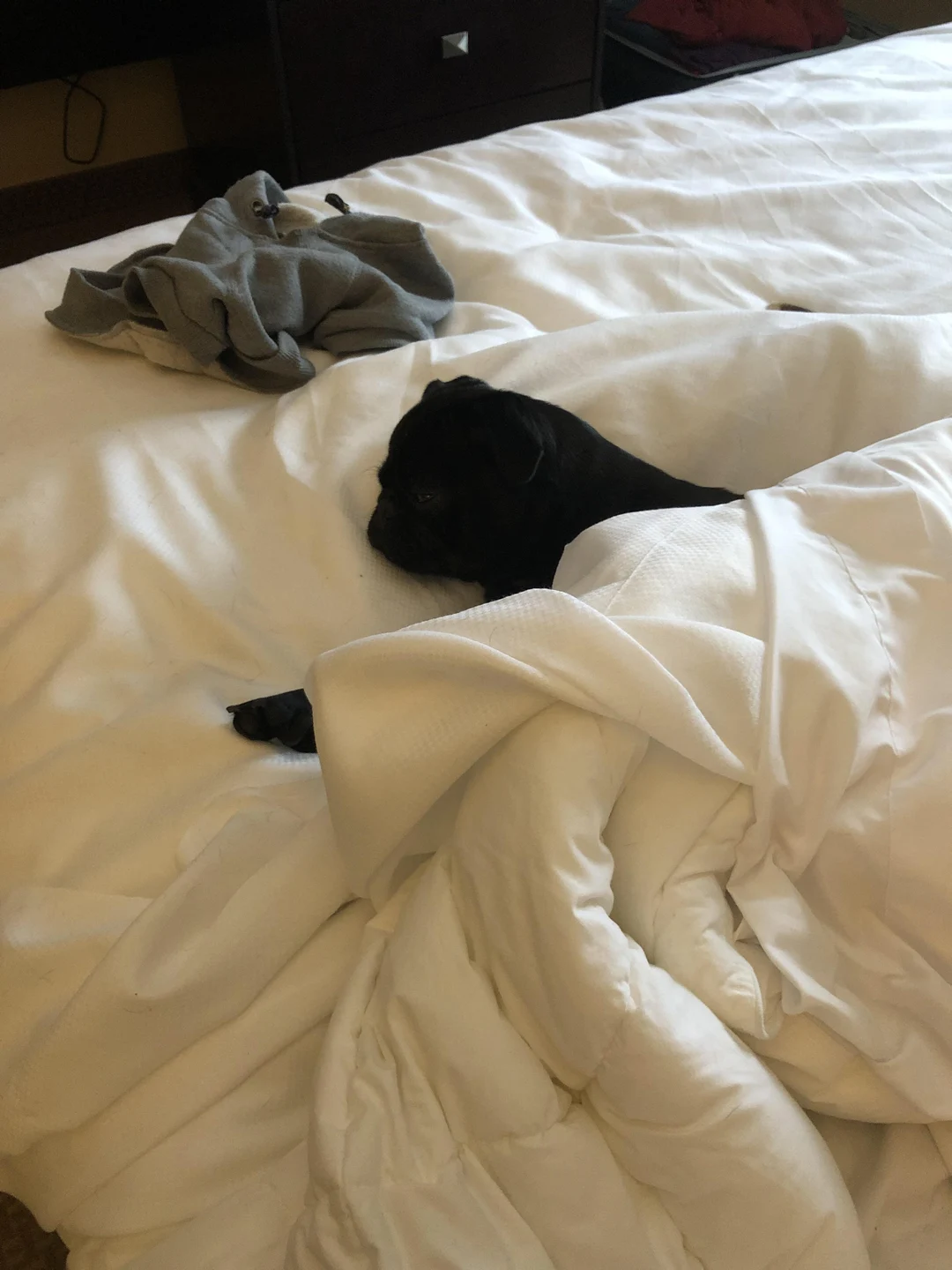 Keeping mom company while she is sick | Scrolller