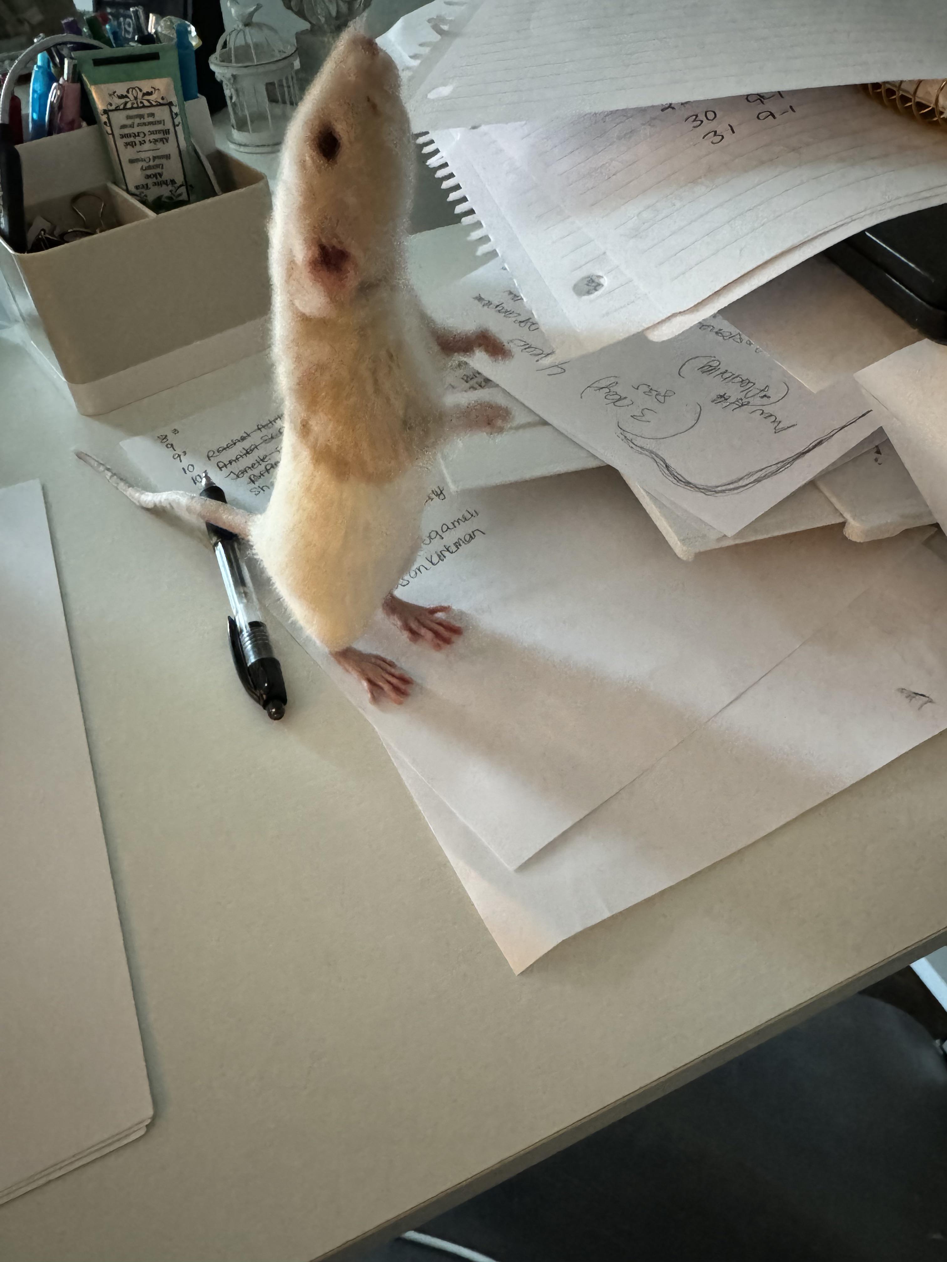 Work buddy | Scrolller