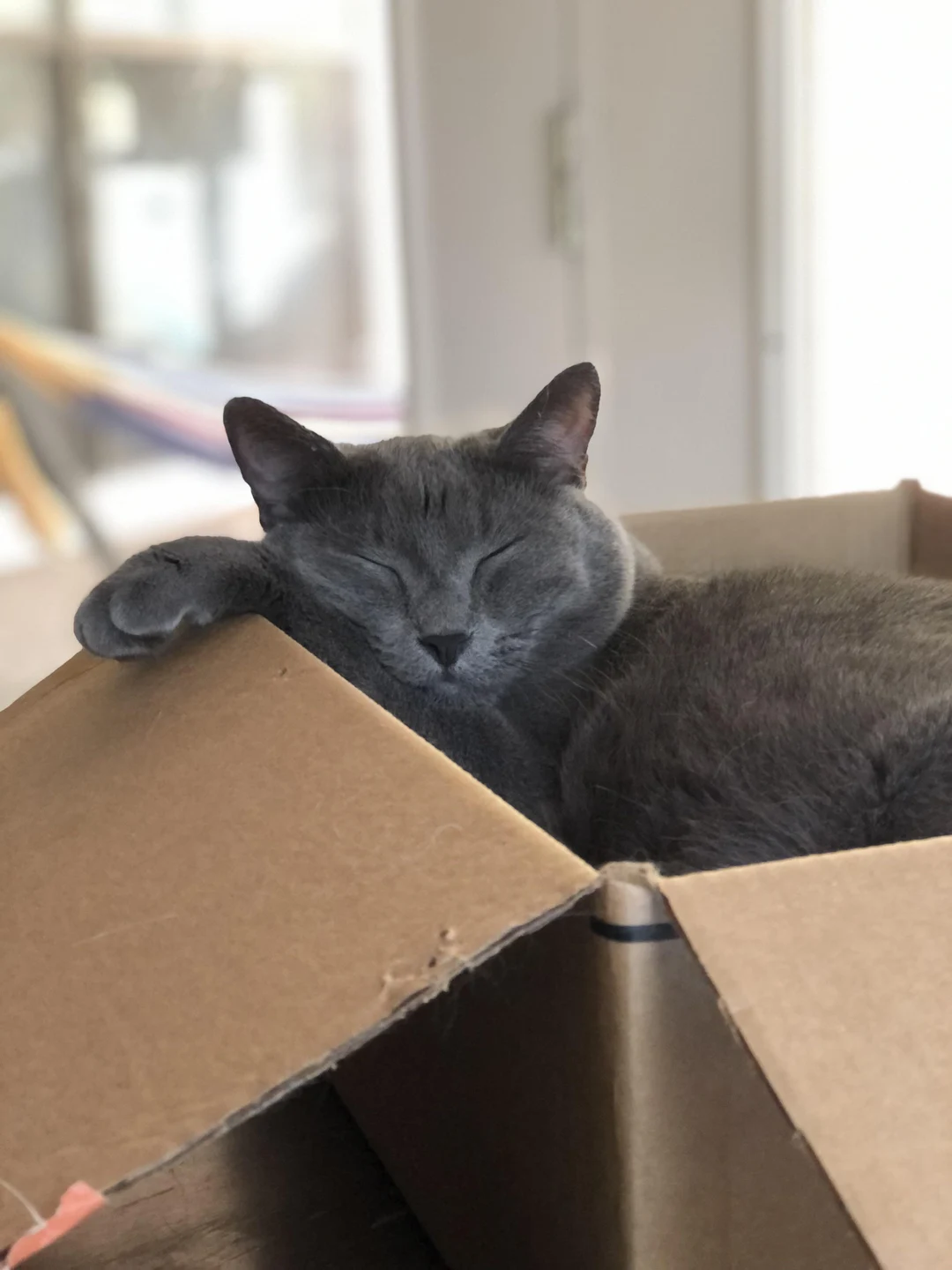 A midday slumber | Scrolller