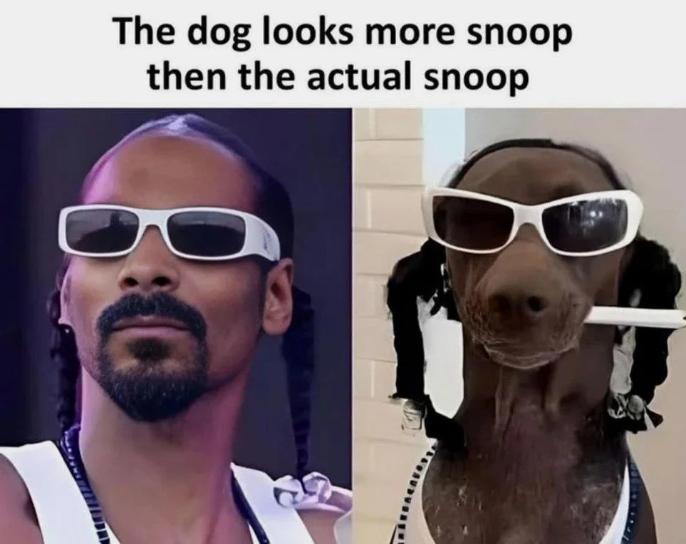 Doppelganger | Scrolller