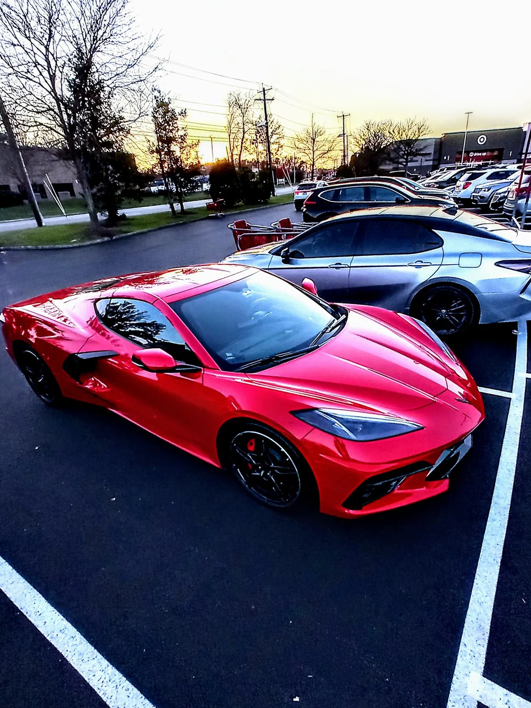 C8 Corvette | Scrolller