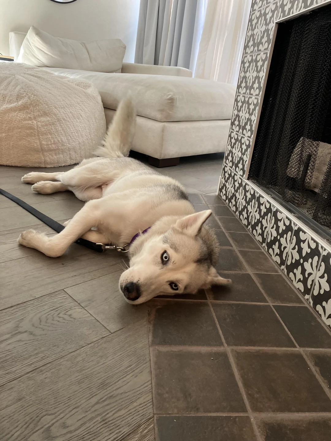 Pretty foster girl | Scrolller