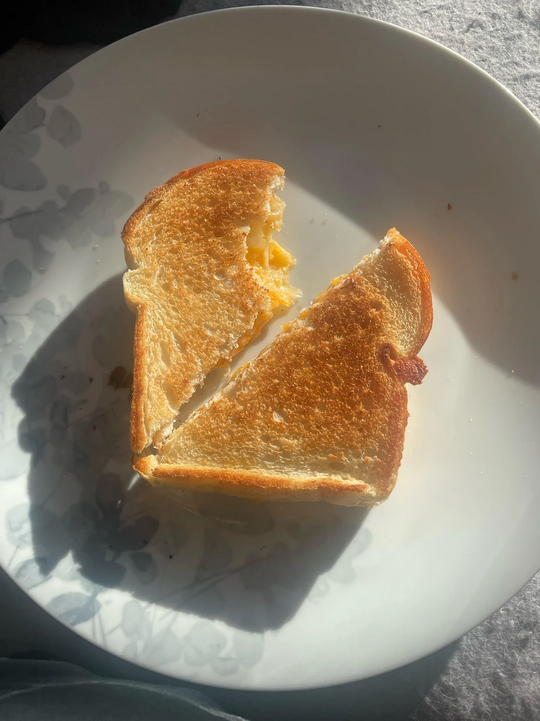 I made myself a grilled cheese | Scrolller