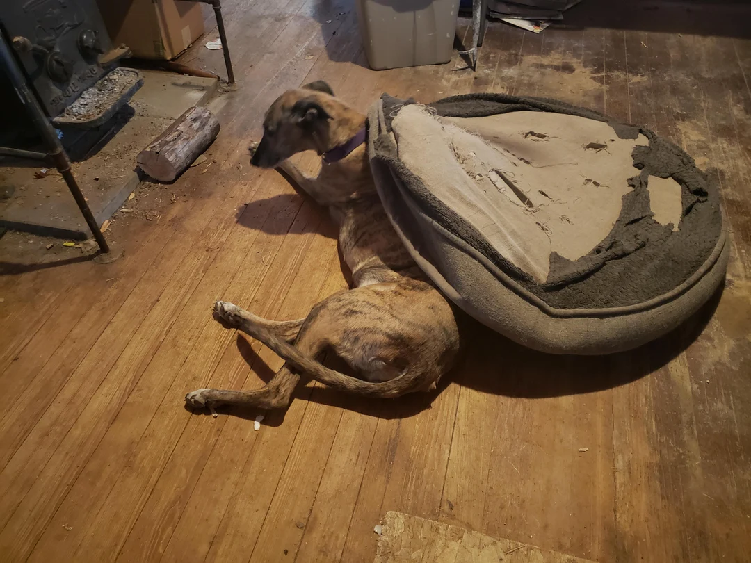 Bed fail - Level up | Scrolller