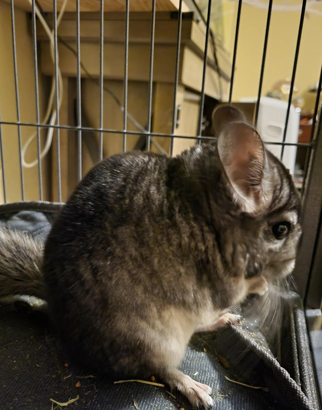 Does her back look normal? | Scrolller