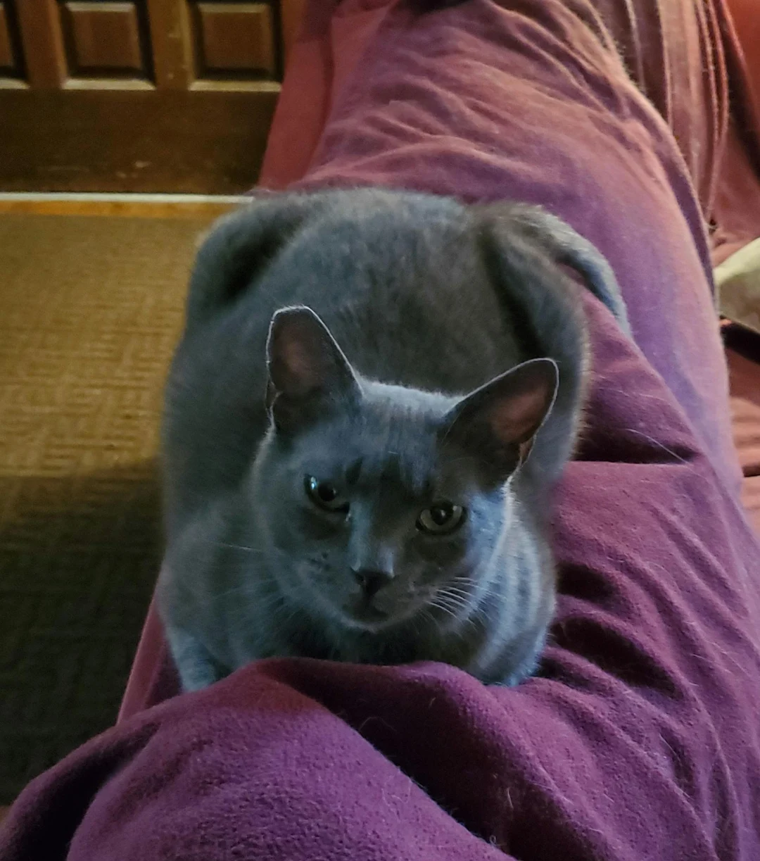 She may look moldy, but she's got a good crumb. | Scrolller