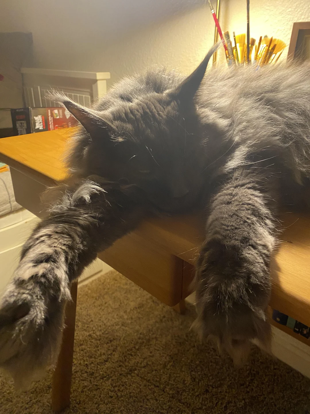 Hip fracture! | Scrolller