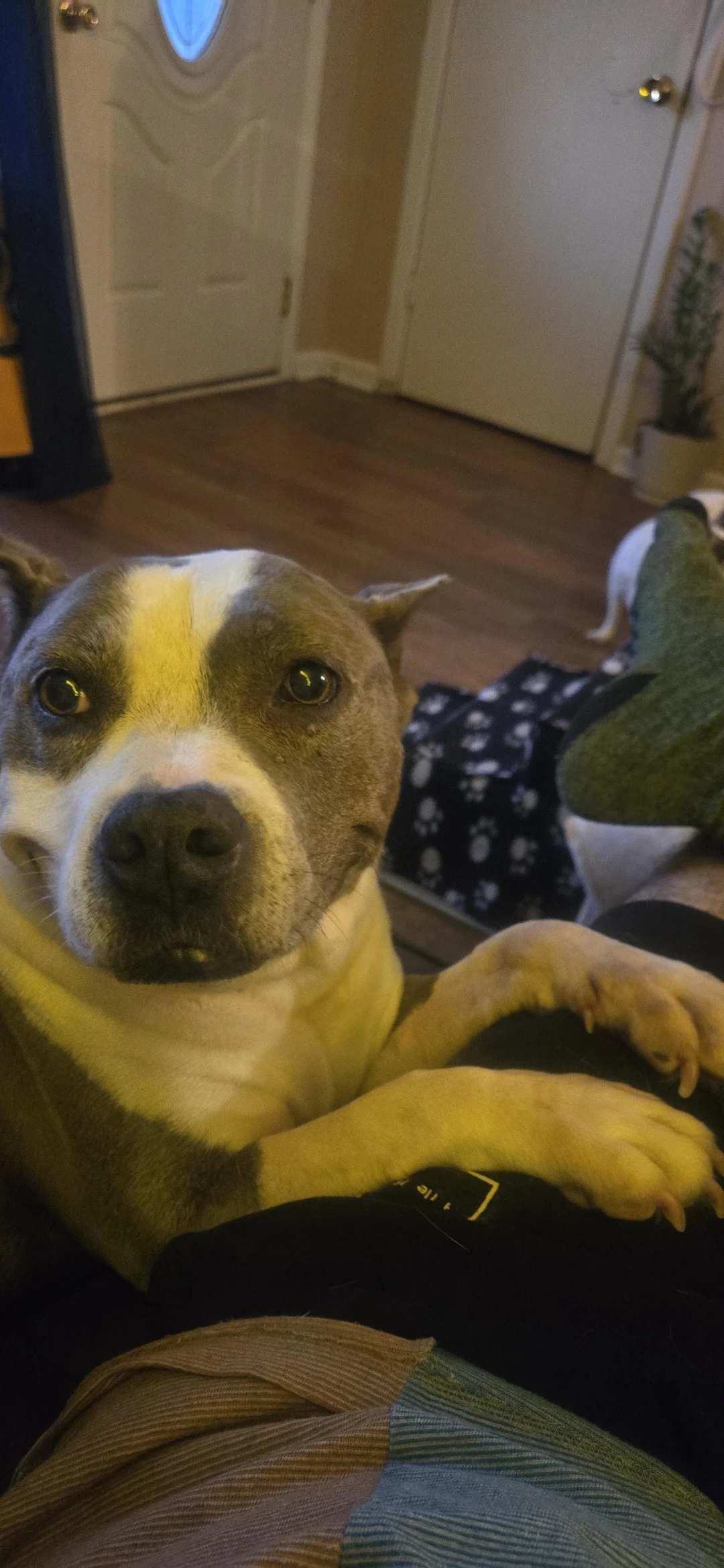 Blanche smiling | Scrolller