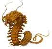 You’ve seen 1,000,000 centipede comments. Have the golden centipede. | Scrolller