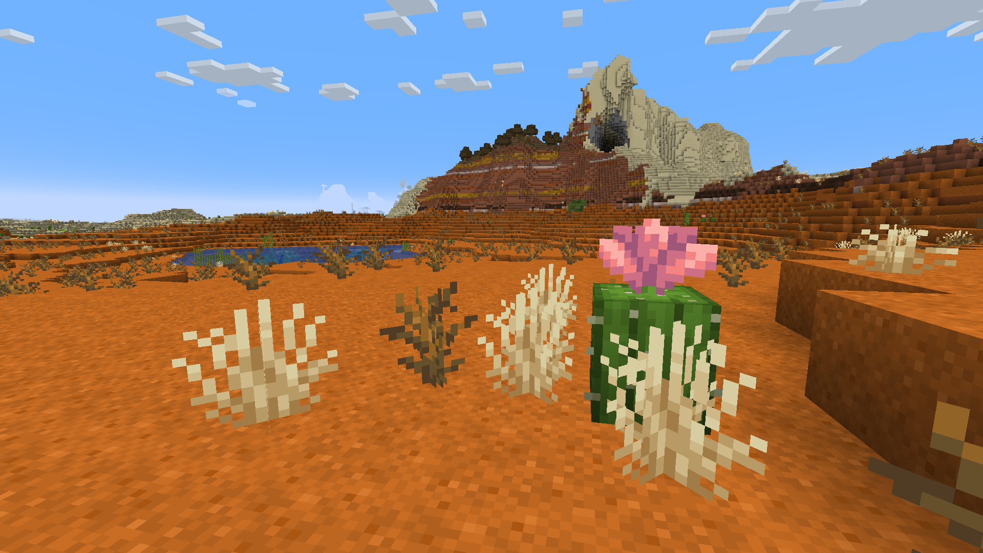 Revamped Badlands and Desert Biomes - Snapshot 25W06A | Scrolller