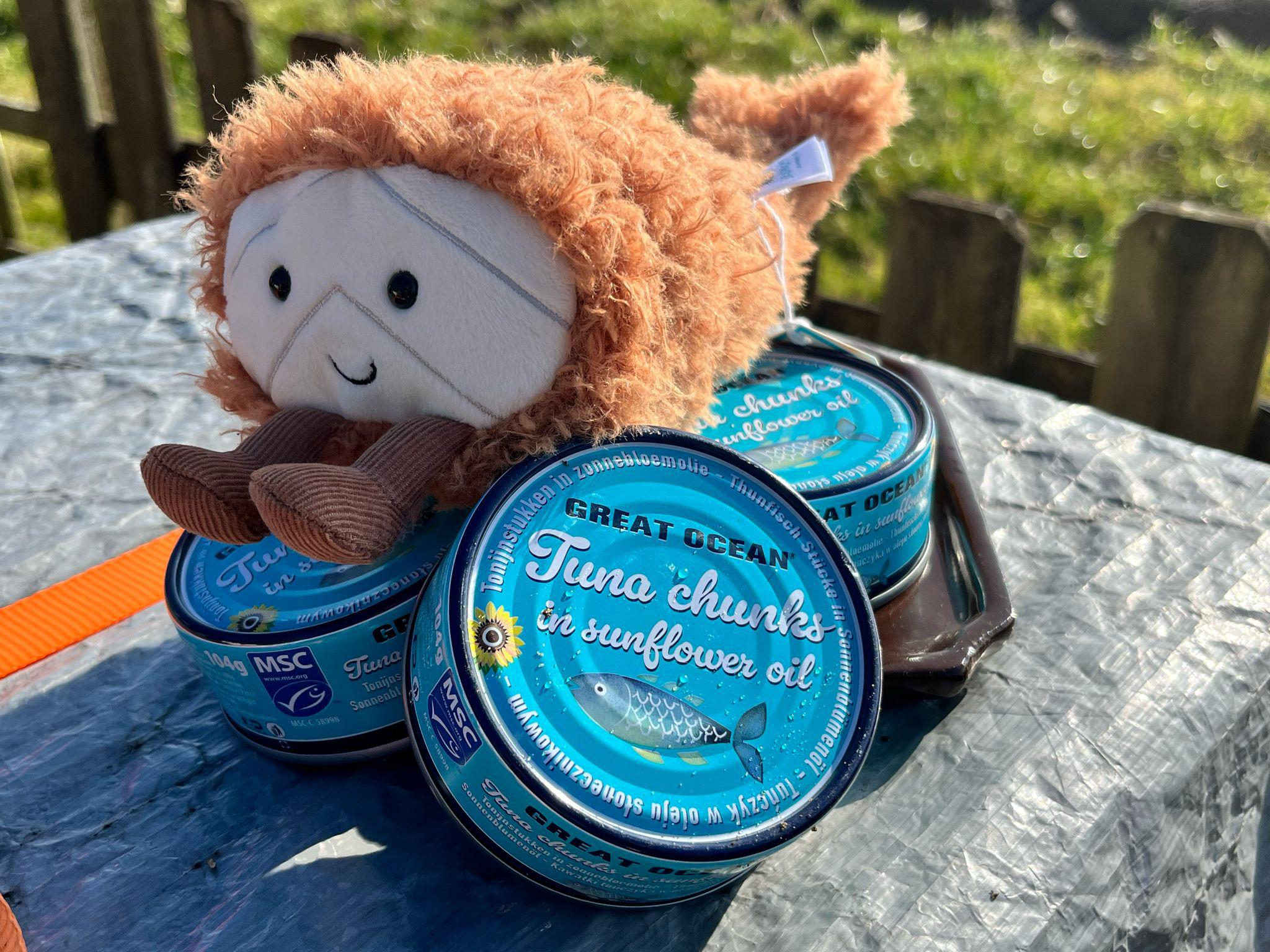 Swim on by! Welcome Mr. Cod 🐟🐠🍃 | Scrolller